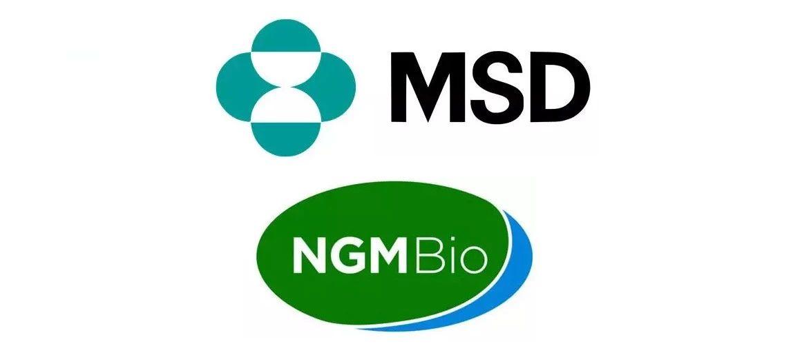 默沙东和NGM Bio在NASH等方面的合作延至2022年 - 药时代DrugTimes