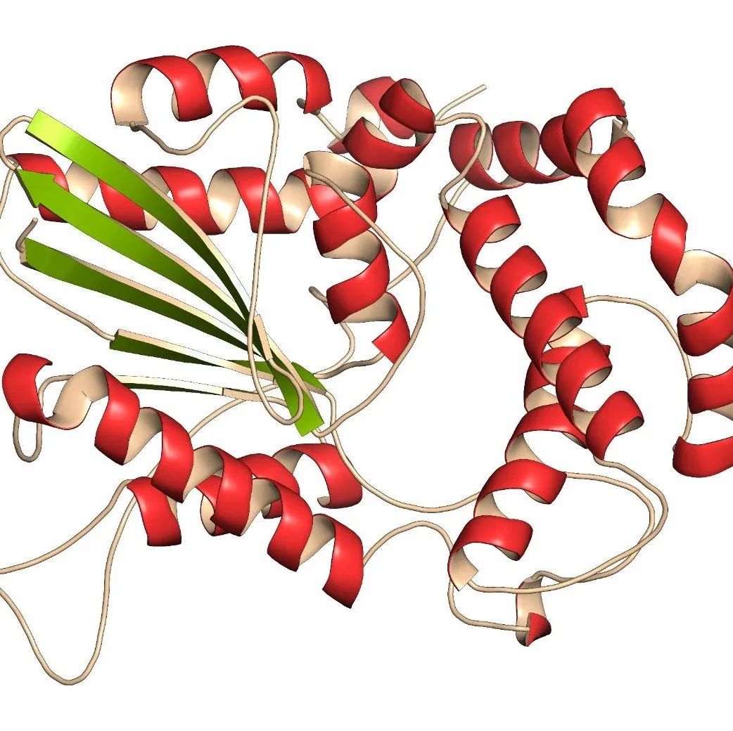 收藏！国外专家解读火热的Protac技术，4个视频，200多分钟！ - 药时代DrugTimes