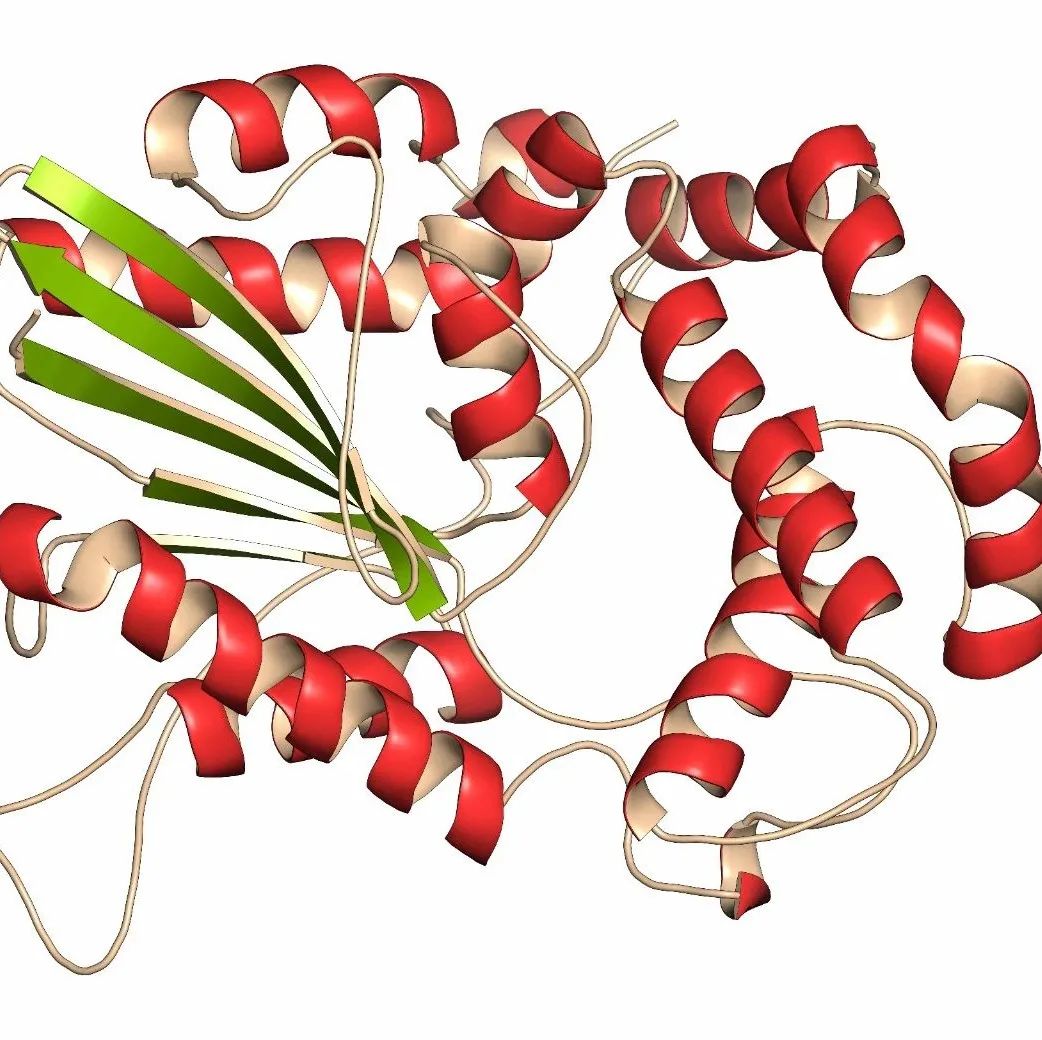 医药公司 | Arvinas—PROTAC技术先行者 - 药时代DrugTimes