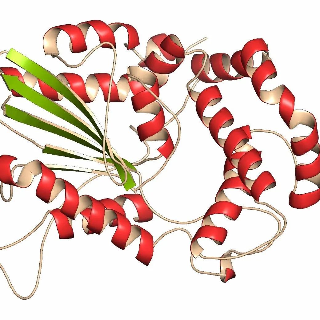 小药谈肿瘤免疫：CD40 - 药时代DrugTimes