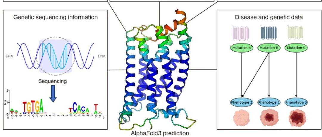 Acta Pharmacol Sin| 上海药物所评测AlphaFold3的GPCR-配体复合物预测表现能力显示实验结构的必要性 - 药时代DrugTimes
