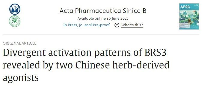 APSB|王明伟/尹万超/张岩团队揭示中药来源激动剂识别BRS3的分子机制 - 药时代DrugTimes